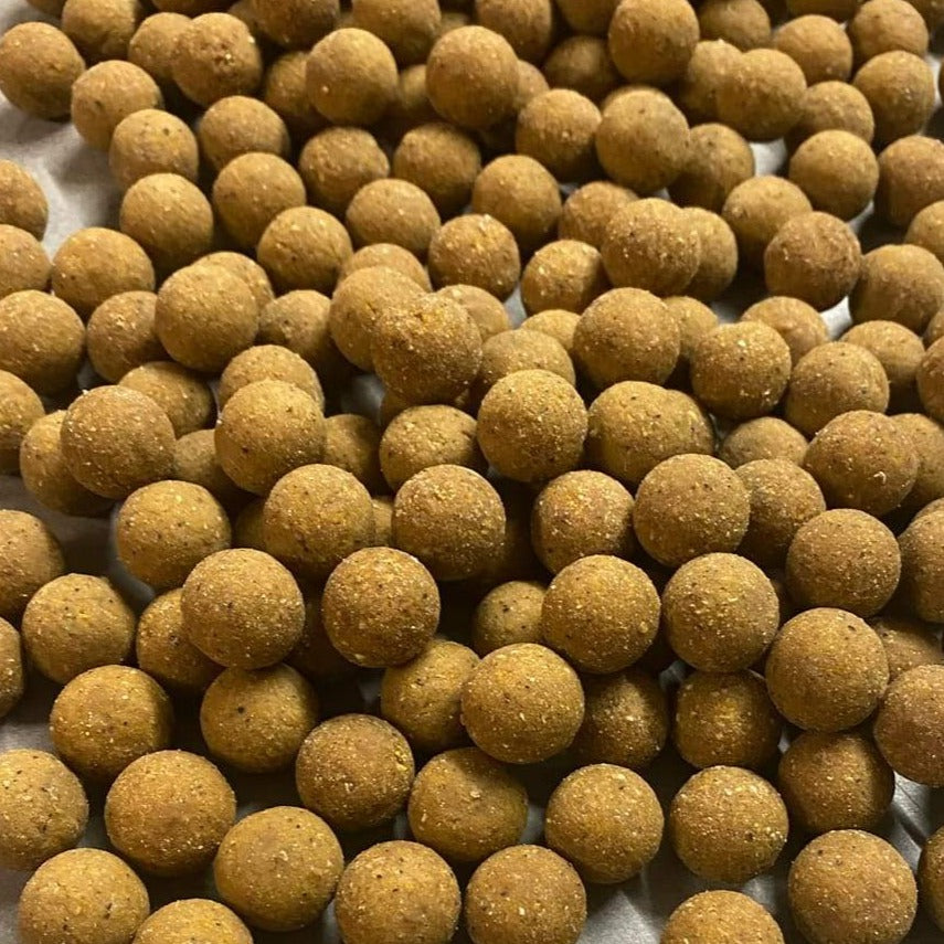 CM60 Coconut Boilies (Shelf Life) – Quality Baits